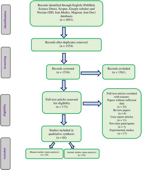 Flowchart Describing The Study Design Process Download Scientific Diagram