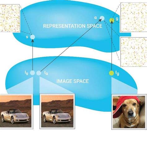 Adversarial Example In Input And Representation Space 145 While The
