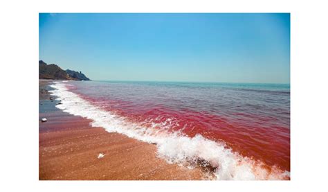 creating a cool image hover effect with html and css cslab coding and software training