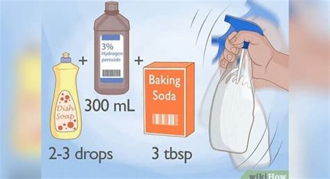 How To Get The Smell Of Pee Out Of A Couch Easy And Effective Tips