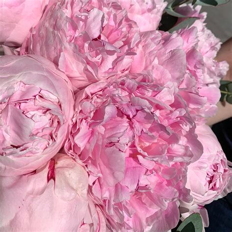 Какой бы не был повод он точно Кружовник цветочное кафе