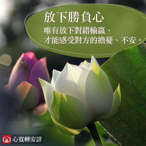 放下勝負心 香光尼僧團 blog