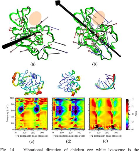 Figure 14 From Progress On Cutting Edge Infrared Terahertz Biophysics Semantic Scholar