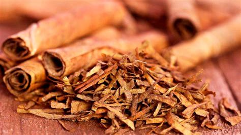 Pó Do Tabaco Se Transforma Em Fertilizante Orgânico Notícias Agrícolas