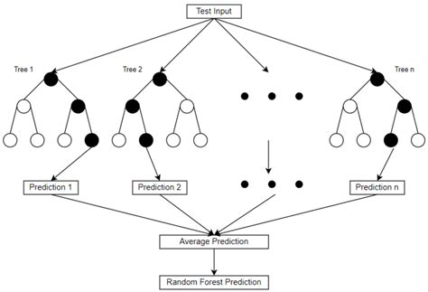 Structure Of The Random Forest Model Download Scientific Diagram