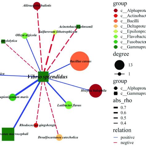 Microbial Interaction Networks Of V Splendidus With Other Major