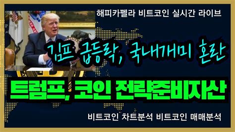 비트코인 실시간 트럼프 코인 전략준비자산 언급 김프 급등락 국내개미 혼란 33 점심💎비트코인 비트코인실시간