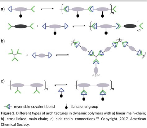 Table 1 From Dynamic Covalent Polymers For Biomedical Applications Semantic Scholar