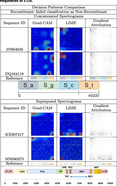 Table 11 From Discovering Mathematical Patterns Behind Hiv 1 Genetic