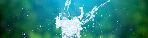 Pathogen Detection In Drinking Water Cheap And Sustainable Biosensor Soon Available Sapienza