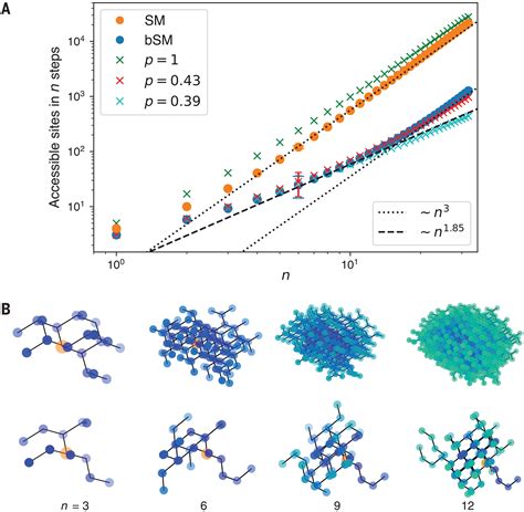 Dynamical Fractal And Anomalous Noise In A Clean Magnetic Crystal Science