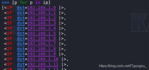 Kali Scapy基本用法kali中descapy Csdn博客 Kali Scapy基本用法kali中descapy Csdn博客