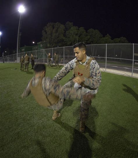 Dvids Images Marines Execute Mcmap Green Belt Test [image 1 Of 5]