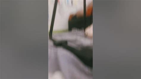 돌고래🐬🐬 Youtube