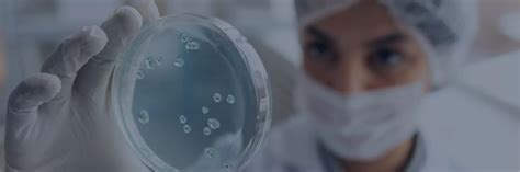 A Modular Framework For Ai Driven Object Detection