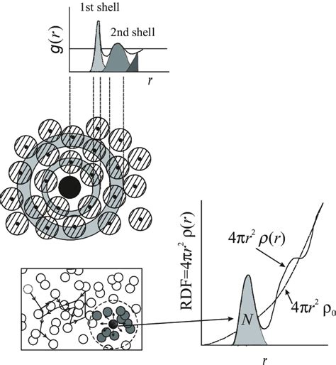 Schematic Diagram Of Radial Distribution Function For Liquid And Its Download Scientific