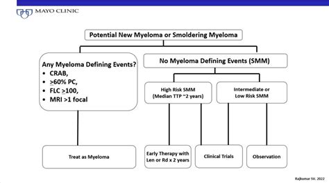Treatment Options For Multiple Myeloma Ask The Nurse Expert