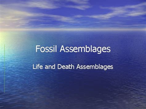 Fossil Assemblages Life And Death Assemblages An Early