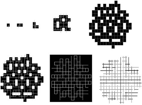 Formal Spatial And Functional Patterns Emerging In A Cellular