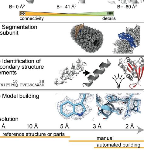 From Cryo EM Maps To Atomic Models A Common Single Particle Software Download Scientific