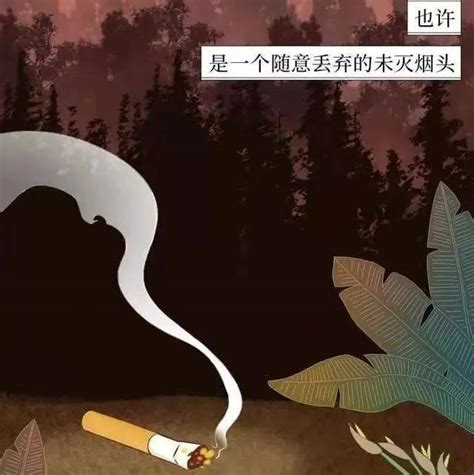 一图搞懂森林火灾那些事儿防火来源中国