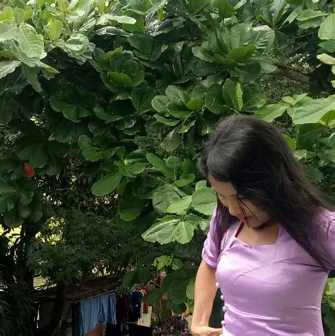 ရွှေပိုးအိမ် ပိုးထည် ချည်ထည် သီတင်းကျွတ်အမှီ အထူးဈေးနှုန်းနဲ့ ညနေ 4 00 နာရီ Live ခါတော်မ