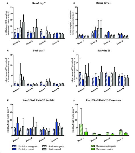 a d runx2 and sox9 individual donors gene expression bmscs on plga