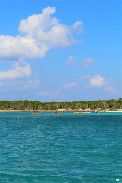 Reef Snorkeling And Sandbar Getaway Port Excursion Coco Cay Caravan