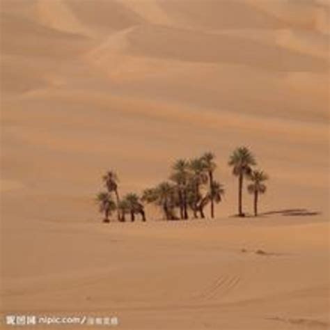 Longwei Dong Lanzhou University Lanzhou Lzu School Of Life