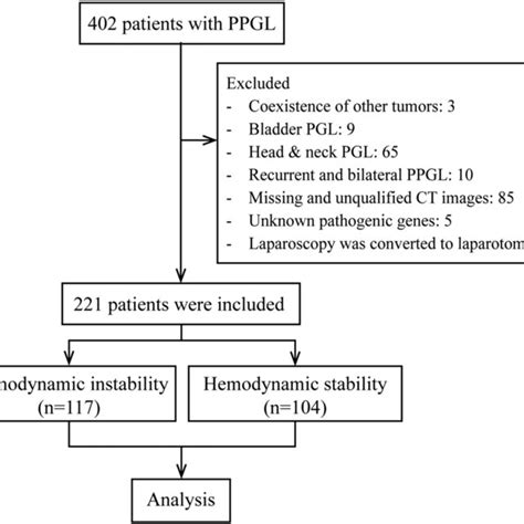 Measurement Of Body Composition On Cross‐sectional Computed Tomography Download Scientific