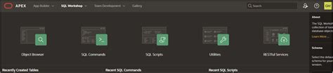 Oracle Apex V Sql Developer For Vs Code