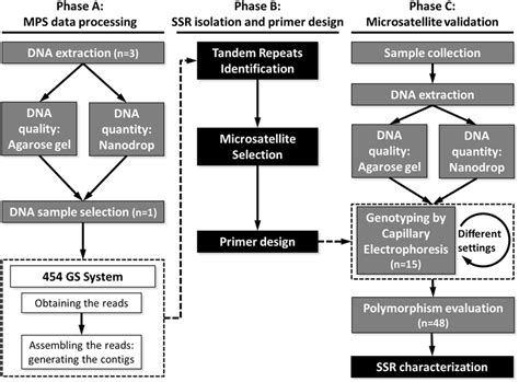 Experimental Design And Protocol Pipeline Gray Steps Laboratory Download Scientific Diagram