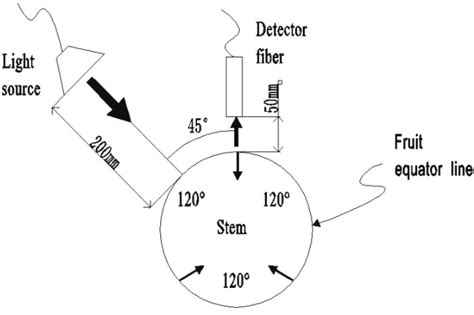 Instrument Setup For Spectra Collection Download Scientific Diagram