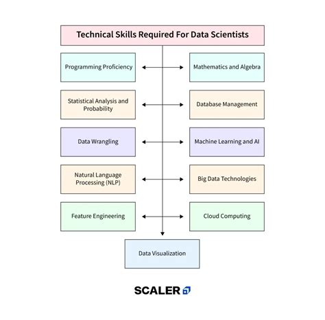 Top Data Scientist Skills You Need In
