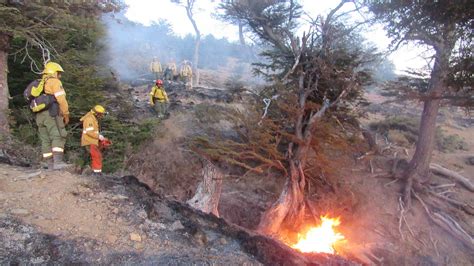 Combaten Un Incendio Que Ya Arrasó 1000 Hectáreas Cerca De El Bolsón