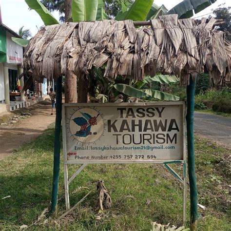 Tassy Kahawa Tourism 2026 All You Should Know Before You Go W Reviews