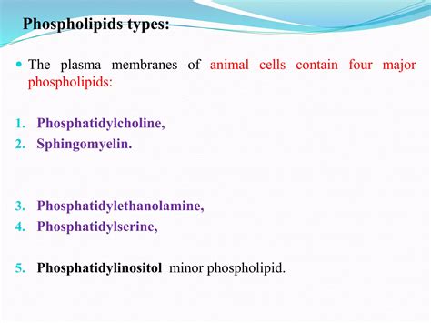 Structure Of Plasma Membrane PPTX Biological Sciences Science