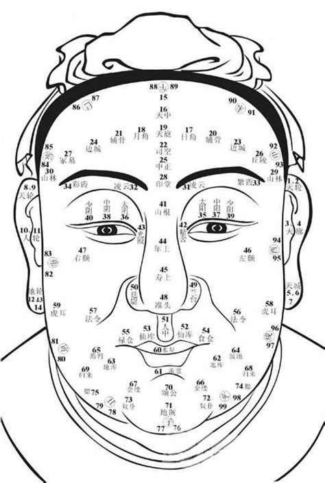 【人相学とは？】顔のパーツ別に人相学の全てを現役占い師が全解説！ 電話占い当たるちゃん By セレーネ
