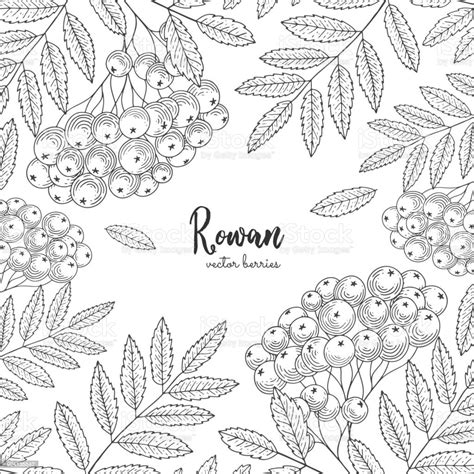 딸기 손 벡터 일러스트 레이 션 프레임입니다 로 완과 자세한 프레임입니다 건강과 아름다움 자연 제품의 패키지 디자인 개념에 대한 스톡 벡터 아트 및 기타 이미지 Istock