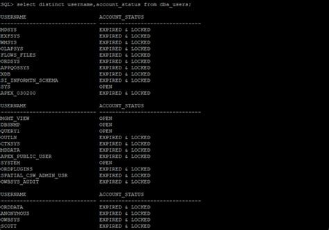 oracle database privilege linux administrator system administrator