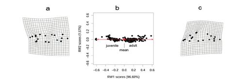 Estimates Of The Breakpoints And Their Standard Errors For The Mensural Download Scientific