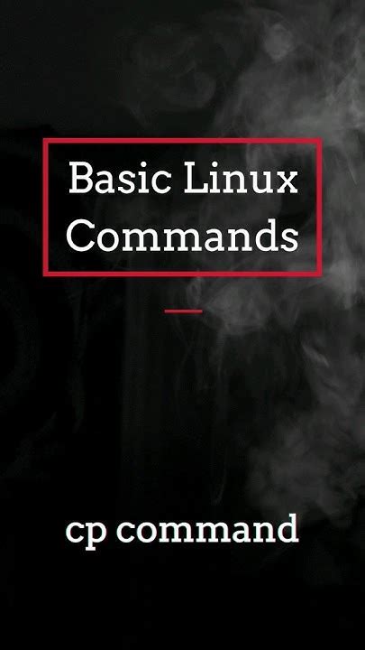 Mastering Basic Linux Commands For Beginners 🙋‍♂️ Important Linux