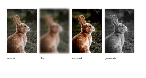 Cssフィルターのエフェクトマスター！色調整からブラウザ対応まで詳しく解説 Designup