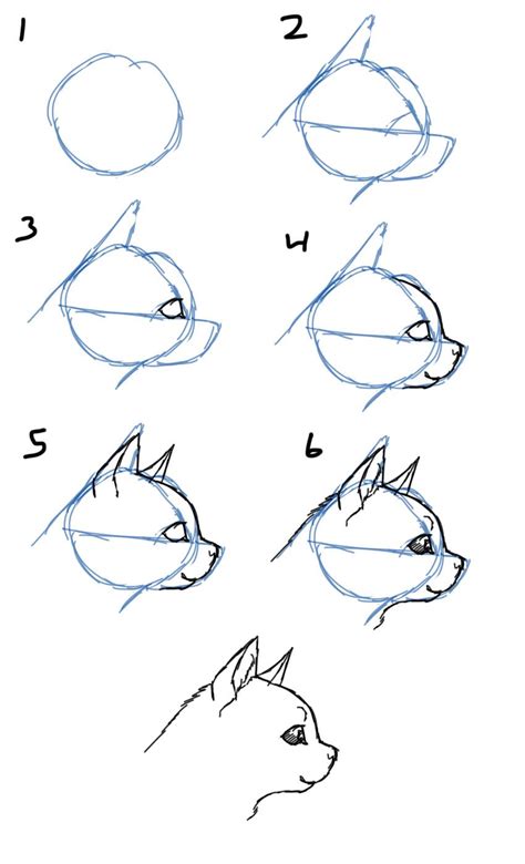 Easy Cat Drawing How To Draw A Cat Front View How To Draw A Cat Face