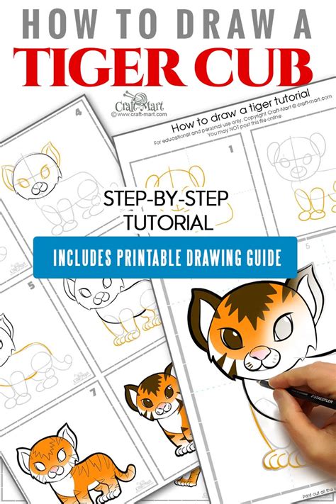 202 How To Draw A Tiger Cub Drawing Guide 2 Craft Mart