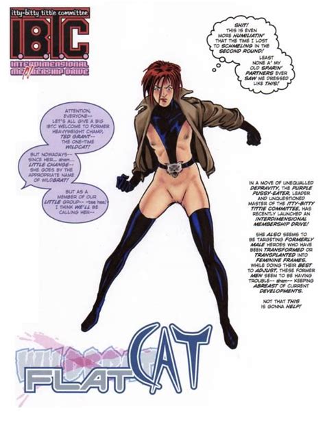 Post 350671 DC Rule 63 Tebra Wildcat