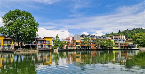 🌍 22 Април Денят Делфинариум Варна Dolphinarium Varna Facebook