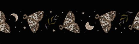 Moth Phases Of The Moon And Stars Herbs Seamless Border Vector
