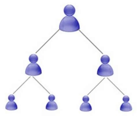 Binary Mlm Software Free Demo Available At Rs 15000 In Ranchi Id