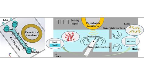 Vortex Enhanced Microfluidic Chip For Efficient Mixing And Particle